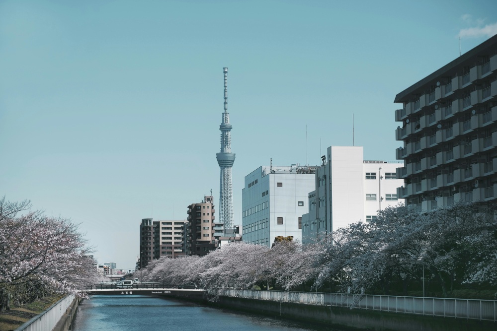 Tokyo's Top Suburbs: Where to Live if You Have a Family | Japan Dev